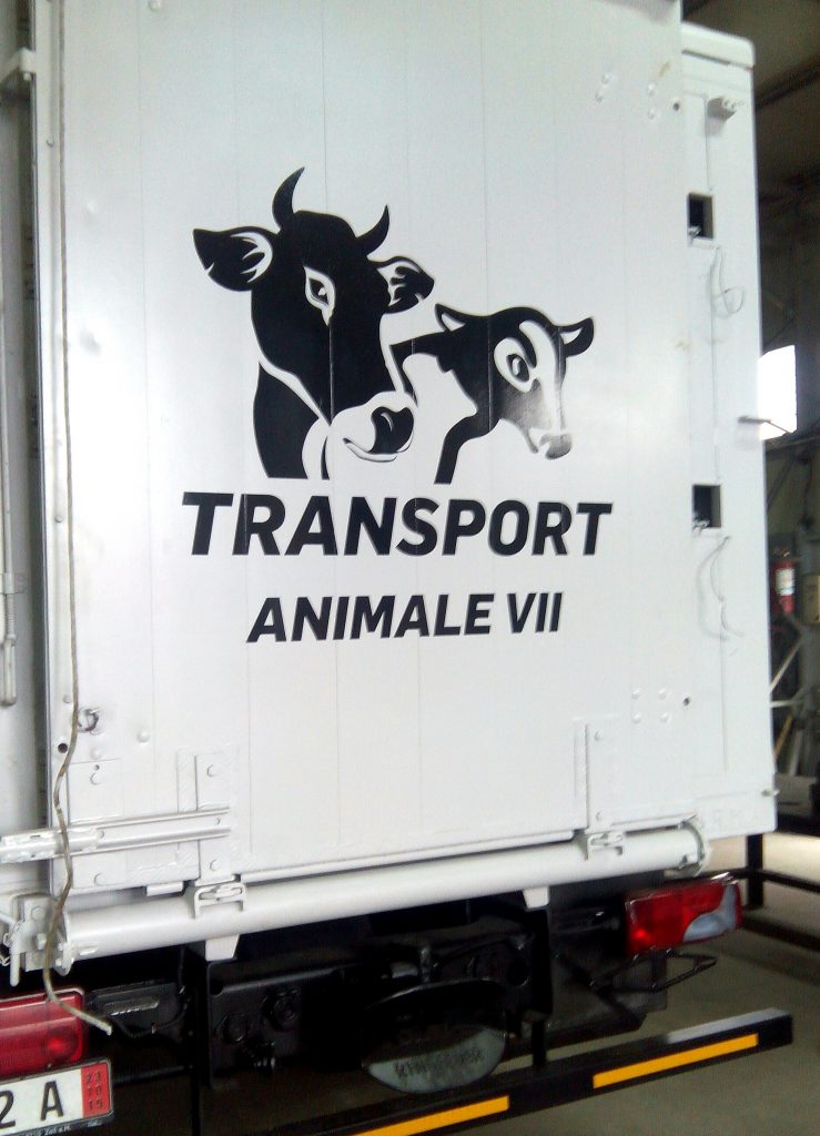 Decor Camion Transport animale vii - eDap.ro